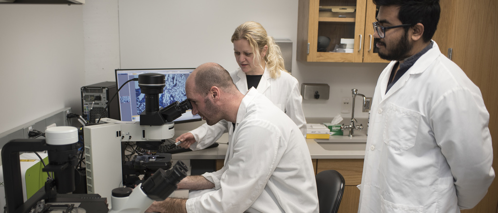 Thorne Lab | The University of Iowa